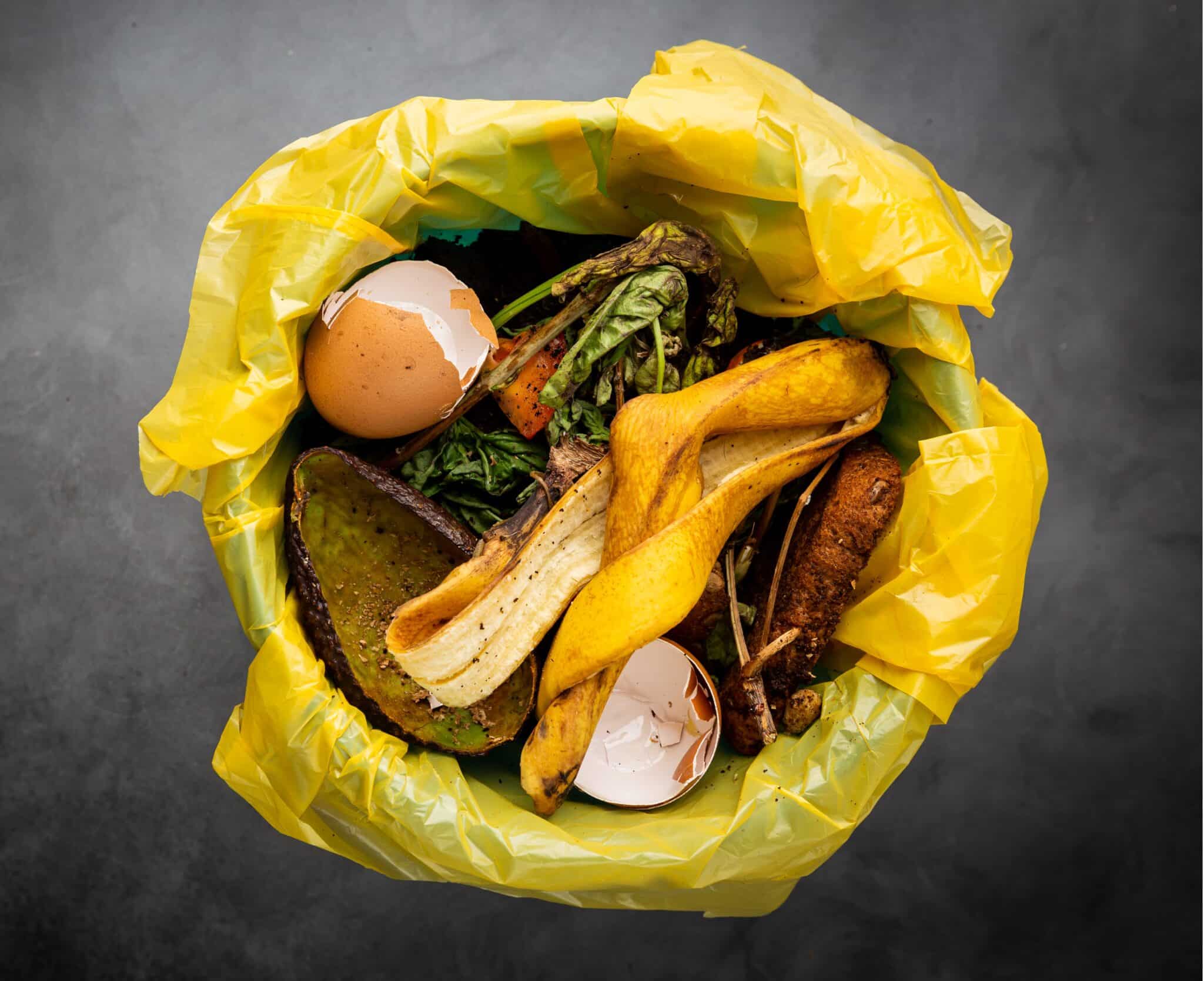 Lixo orgânico é reciclável: a solução da compostagem - Trashin